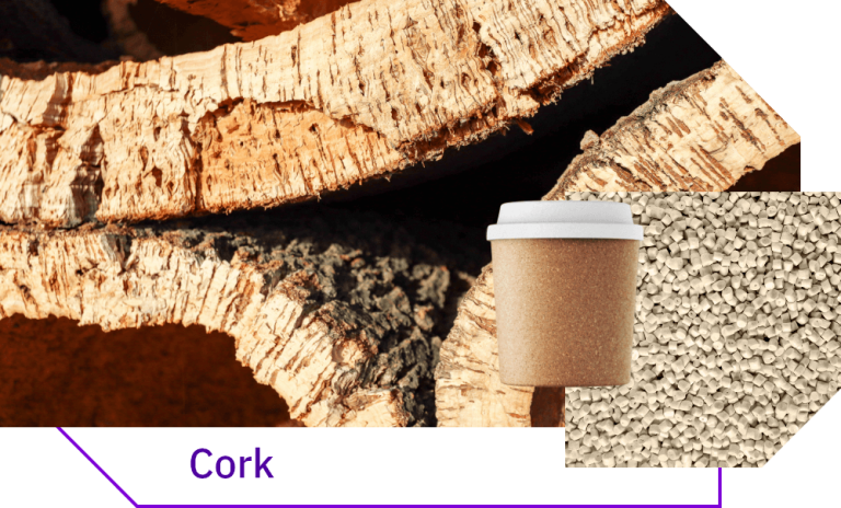 Formulas & Process – B4LOGIC